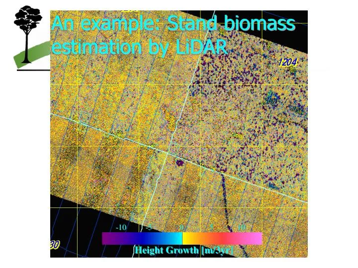 PPT - An example: Stand biomass estimation by LiDAR PowerPoint ...
