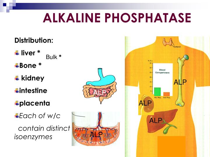 PPT - JANET LIM-DY, M.D., F,P.S.P. D.T.M.H. PowerPoint Presentation ...