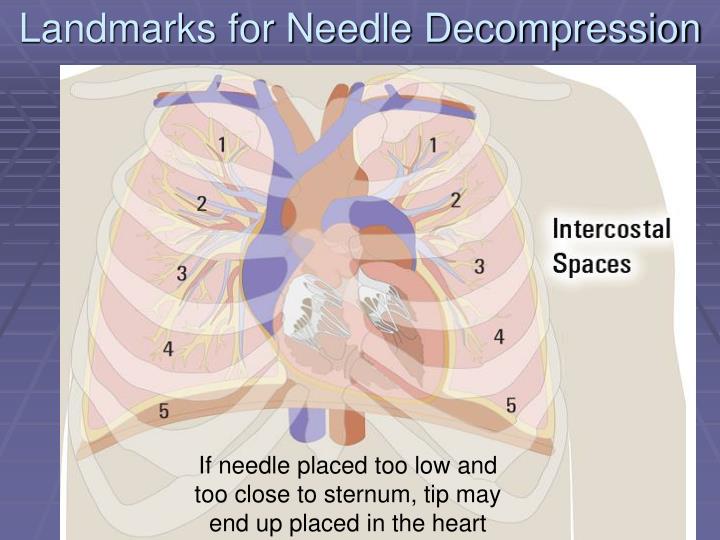 PPT - Trauma Morbidity and Mortality PowerPoint Presentation - ID:5526361