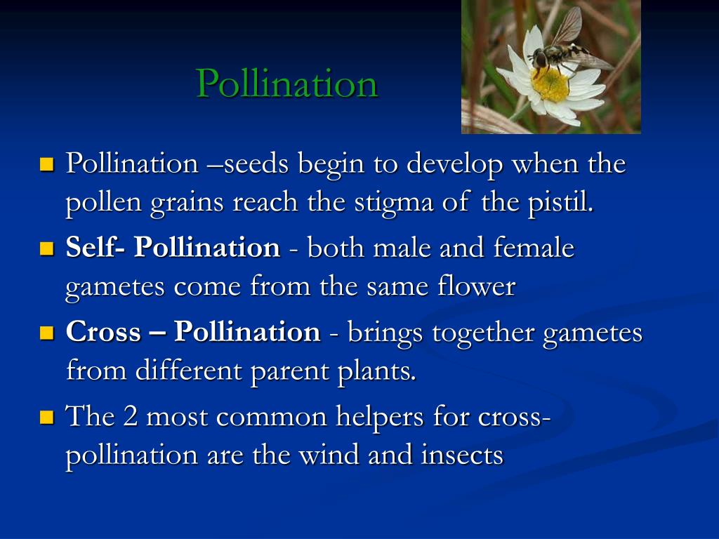 PPT - Sexual Reproduction in Plants PowerPoint Presentation, free ...