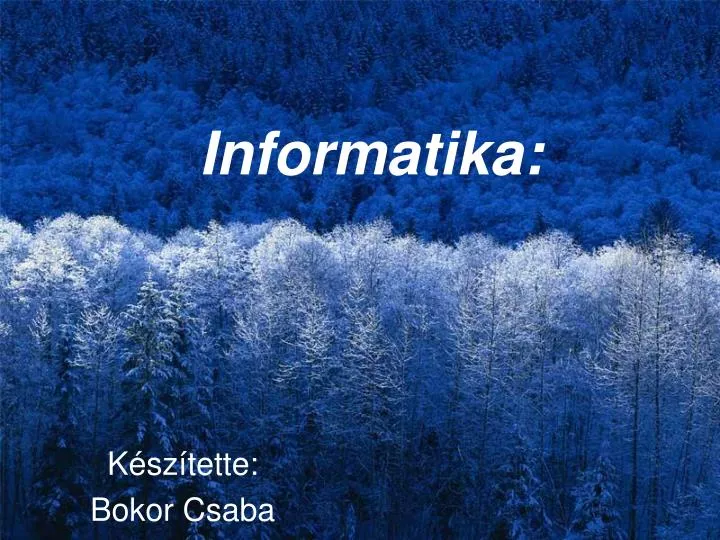 PPT - Informatika: PowerPoint Presentation, free download - ID:5526736