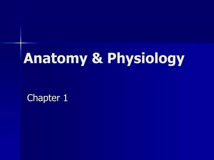 PPT - Anatomy & Physiology PowerPoint Presentation, free download - ID:5527020