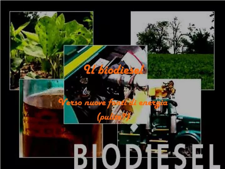PPT - Il biodiesel PowerPoint Presentation, free download - ID:5529483