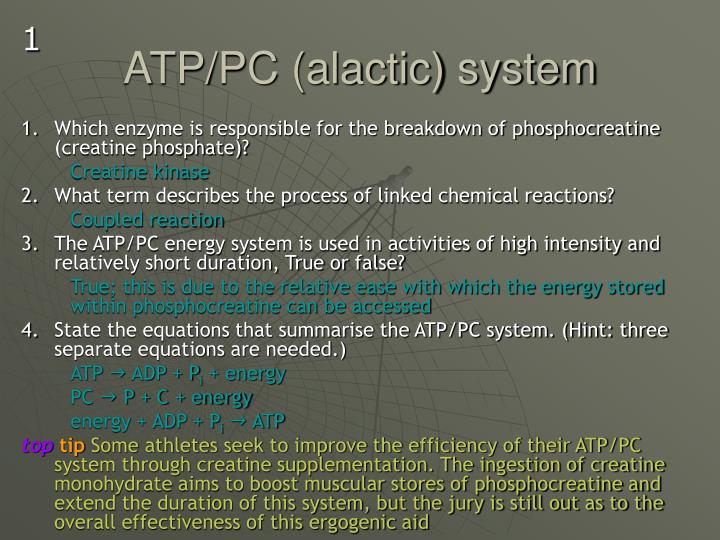 PPT - Exercise Physiology PowerPoint Presentation - ID:5529685