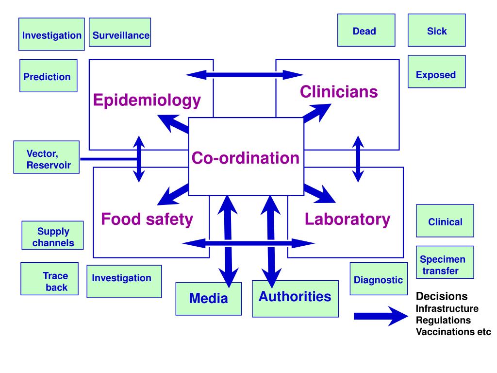 PPT Outbreak Investigation PowerPoint Presentation Free Download