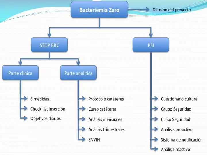 PPT - Bacteriemia Zero. Difusión del proyecto PowerPoint Presentation ...