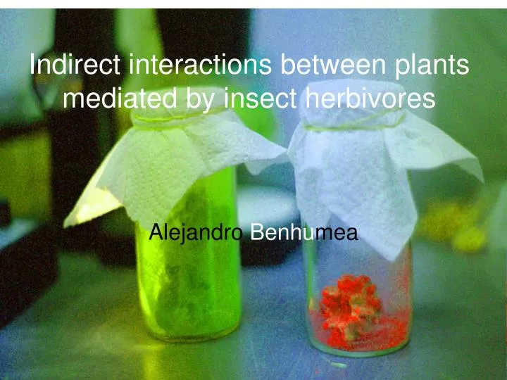 PPT - Indirect interactions between plants mediated by insect ...