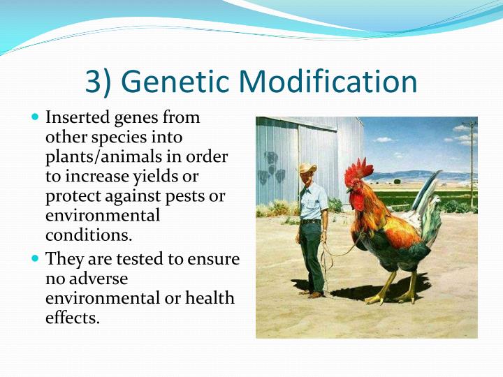 PPT - Agricultural Biotechnology PowerPoint Presentation - ID:5533507