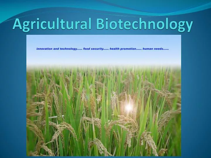 PPT - Agricultural Biotechnology PowerPoint Presentation, free download ...