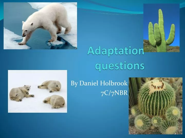 PPT - Adaptation questions PowerPoint Presentation, free download - ID ...
