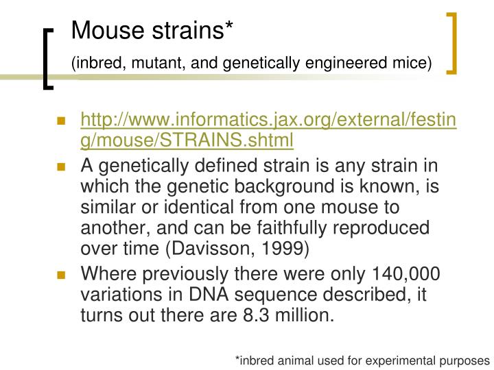 PPT - Biology and Anatomy of Mouse PowerPoint Presentation - ID:5533658