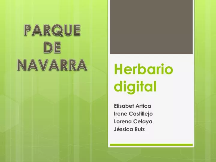 PPT - Herbario digital PowerPoint Presentation, free download - ID:5533722