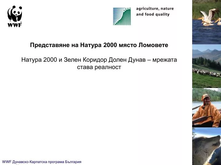 PPT - WWF Дунавско-Карпатска програма България wwf.bg PowerPoint ...