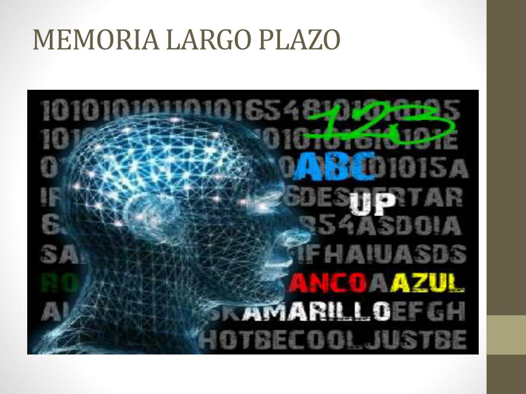 PPT - NATURALEZA, PROCESO Y ESTRUCTURA DE LA MEMORIA PowerPoint ...