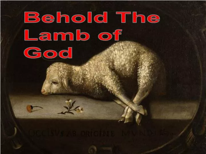 PPT - Behold The Lamb of God PowerPoint Presentation, free download ...
