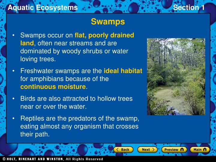 PPT - Freshwater Ecosystems PowerPoint Presentation - ID:5535677