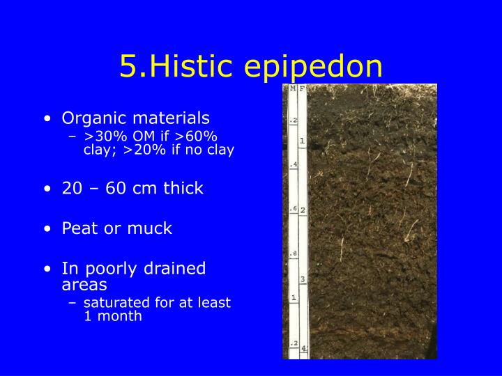 PPT - Diagnostic Horizons PowerPoint Presentation - ID:5535715
