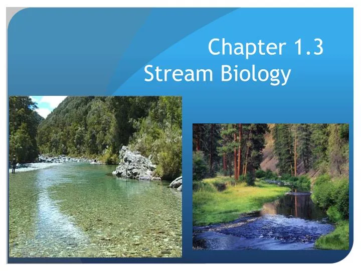 PPT - Chapter 1.3 Stream Biology PowerPoint Presentation, free download ...