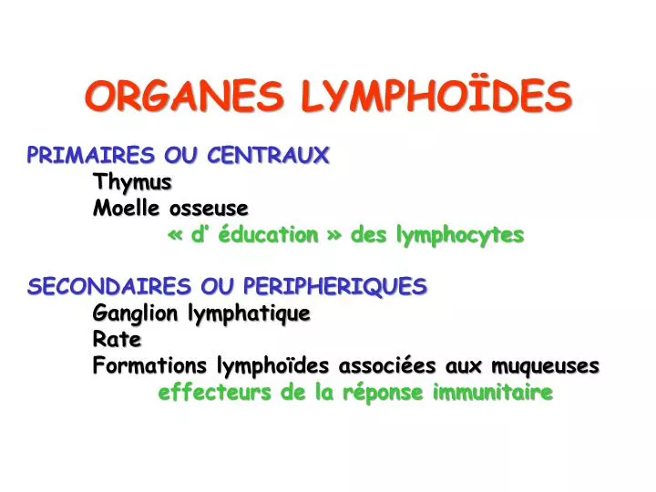 PPT - ORGANES LYMPHOÏDES PowerPoint Presentation, free download - ID ...