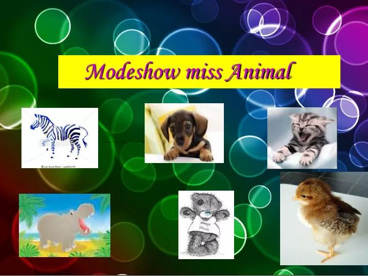 PPT - Modeshow miss Animal PowerPoint Presentation, free download - ID ...