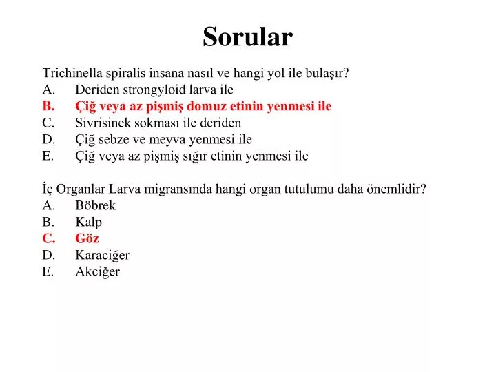 PPT - Sorular PowerPoint Presentation, free download - ID:5541921