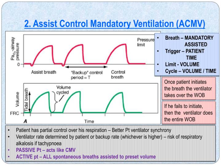 PPT - Physiology of positive pressure ventilation & newer modes of ...
