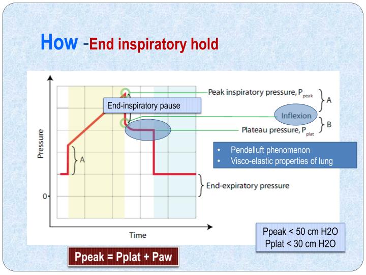 PPT - Physiology of positive pressure ventilation & newer modes of ...