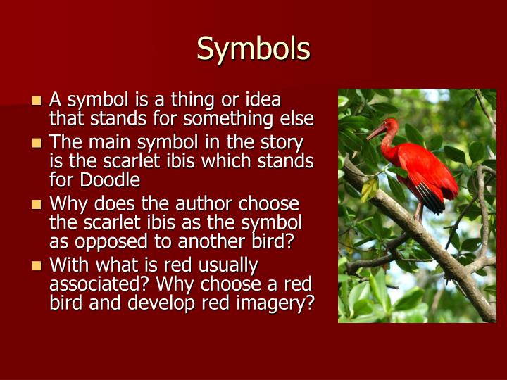 PPT - The Scarlet Ibis PowerPoint Presentation - ID:5542872