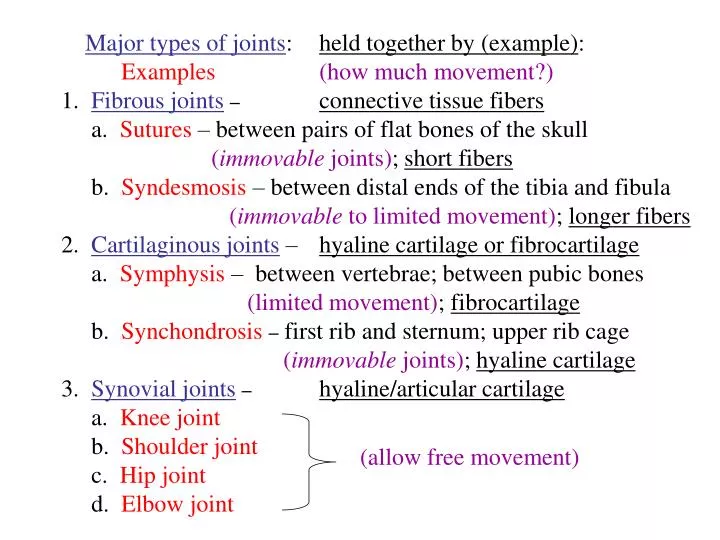 PPT - Major types of joints : held together by (example) : Examples ...
