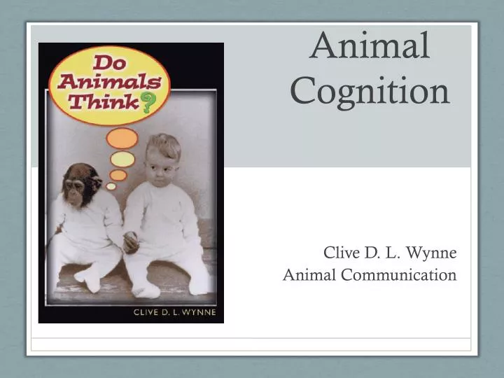 PPT - Animal Cognition PowerPoint Presentation, free download - ID:5543946