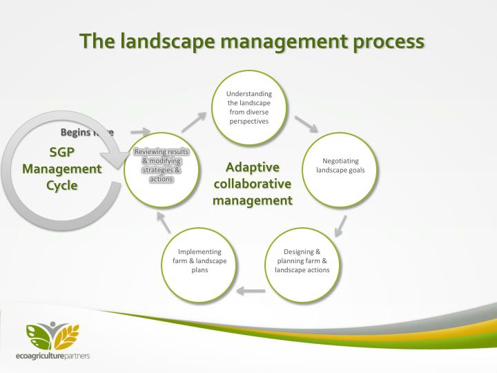 PPT - Managing Landscapes – an adaptive management approach PowerPoint ...