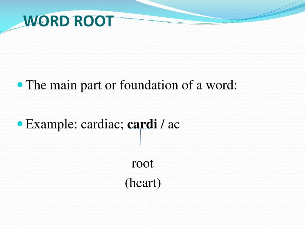 PPT - Medical terminology sanaa abd elhamed PowerPoint Presentation ...