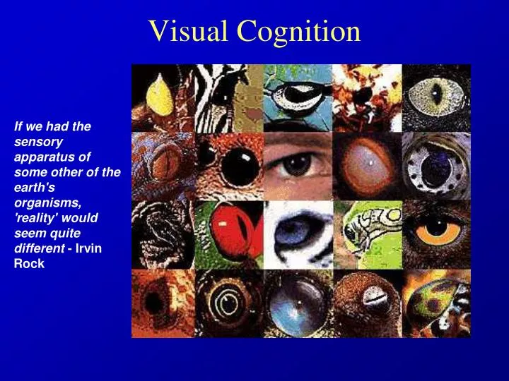 PPT - Visual Cognition PowerPoint Presentation, free download - ID:5546115 PPT - Visual Cognition PowerPoint Presentation, free download - ID:5546115