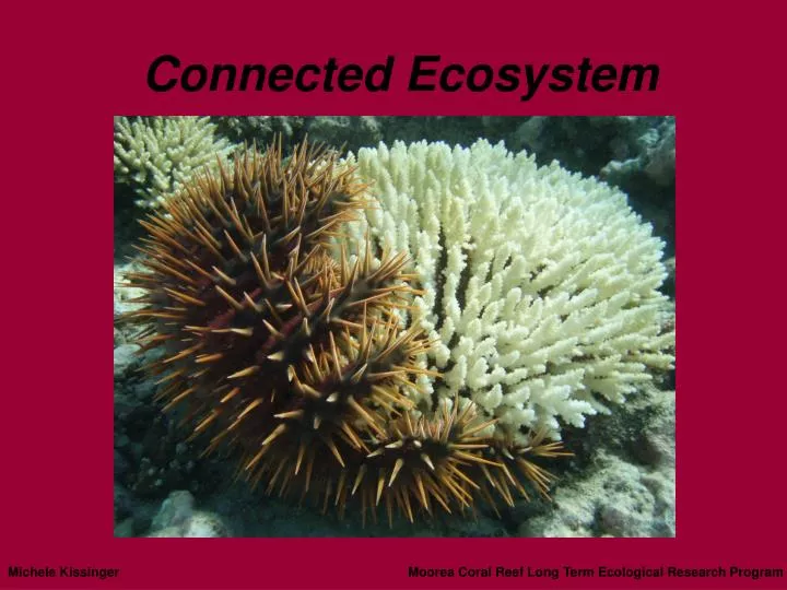 PPT - Connected Ecosystem PowerPoint Presentation, free download - ID ...