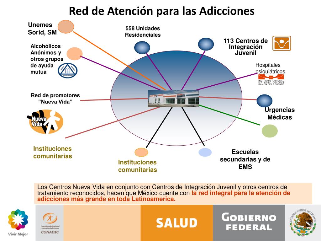 Ppt Comisión Nacional Contra Las Adicciones Powerpoint Presentation