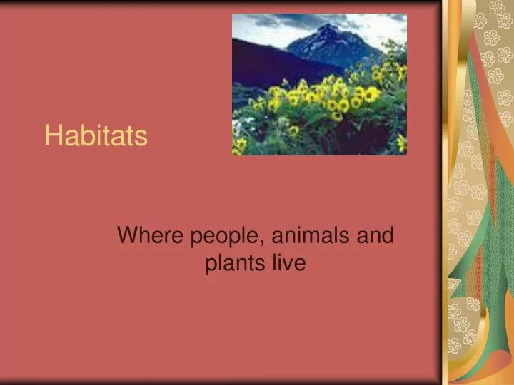 PPT - Habitats PowerPoint Presentation, free download - ID:5550356