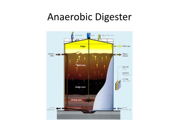 PPT - Process biotechnology application to industrial wastewater ...