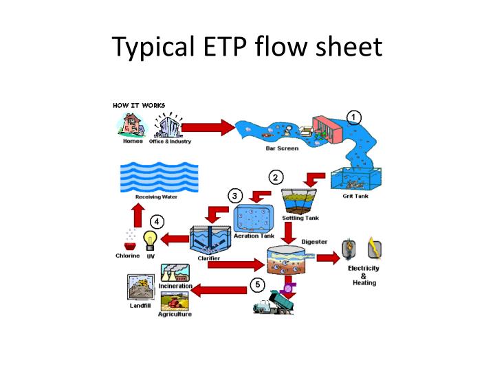 PPT - Process biotechnology application to industrial wastewater ...
