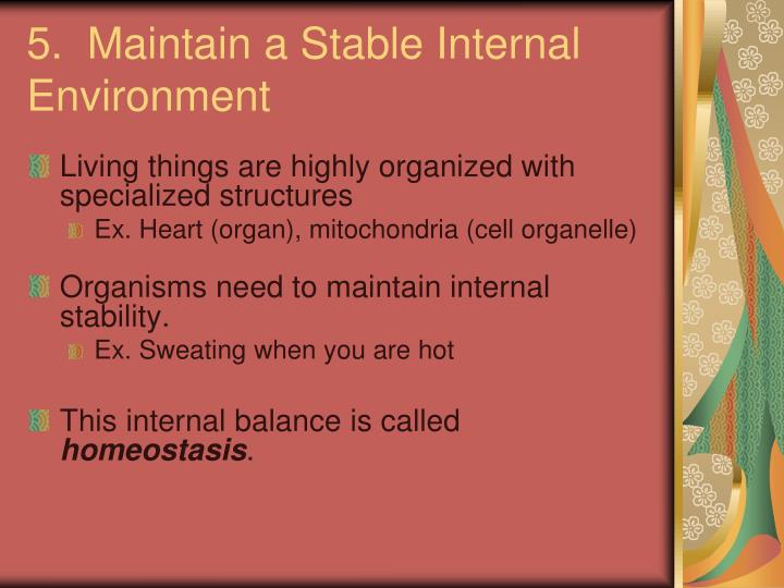 PPT - The 8 Characteristics of Life PowerPoint Presentation - ID:5551885