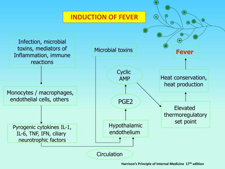 PPT - An Approach to a Patient with Fever PowerPoint Presentation - ID ...