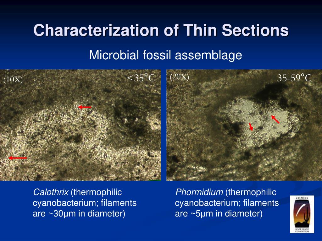 PPT - Mineralogy of Siliceous Hot Springs Deposits: PowerPoint ...