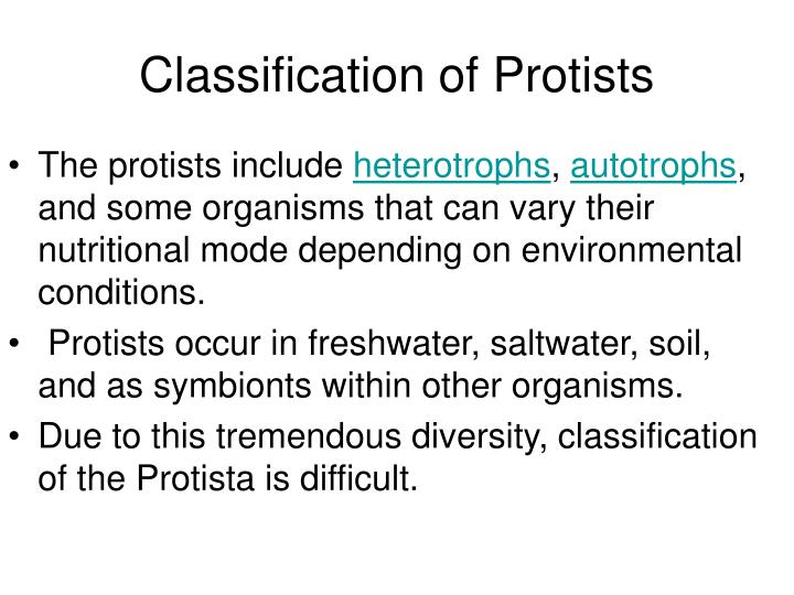 PPT - Classification of organisms PowerPoint Presentation - ID:5553490