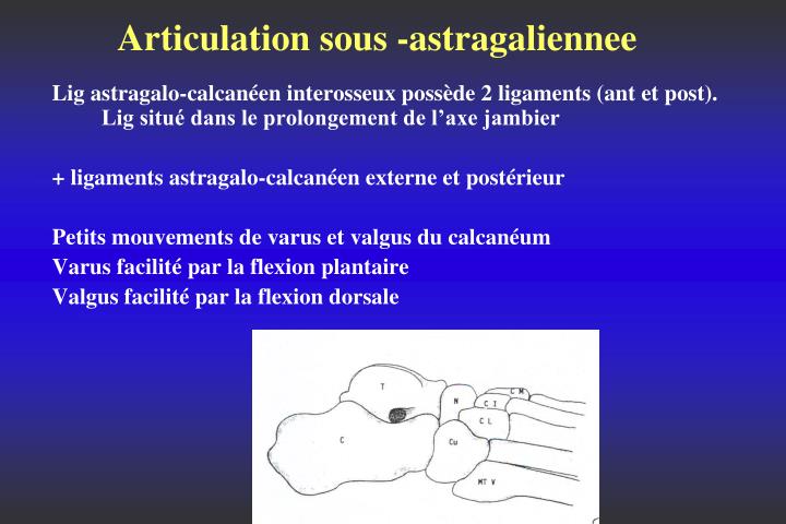 PPT - DOCTEUR JOËL COSTE RHUMATOLOGUE EXPERT JUDICIAIRE PowerPoint ...