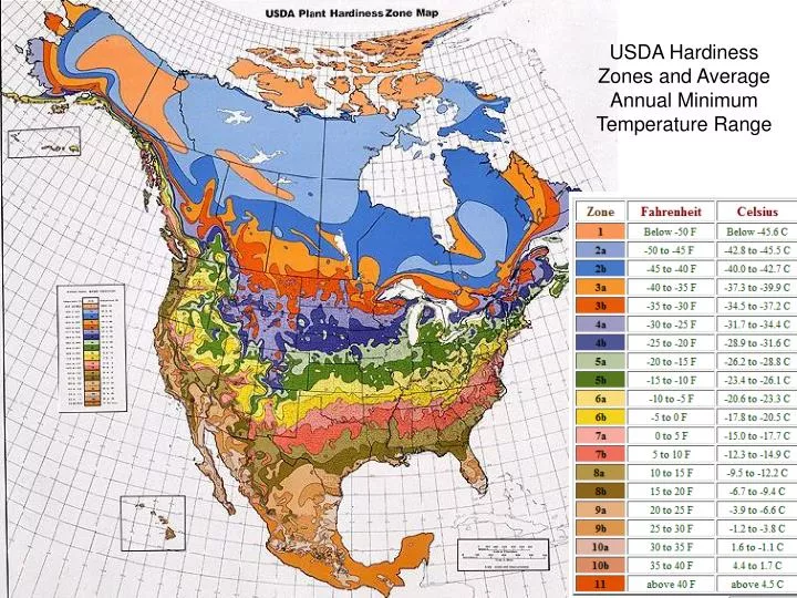 PPT - USDA Hardiness Zones and Average Annual Minimum Temperature Range ...
