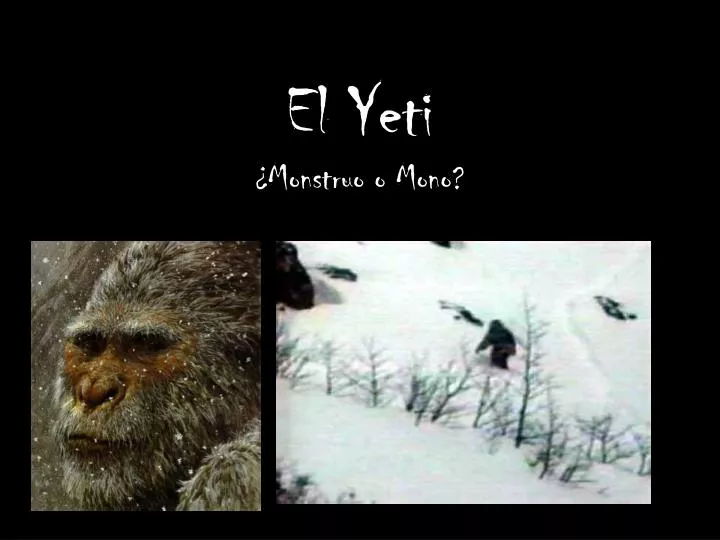 PPT - El Yeti ¿Monstruo o Mono? PowerPoint Presentation, free download ...