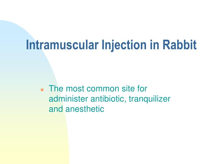 PPT - Laboratory Animal Handling Technique PowerPoint Presentation - ID ...