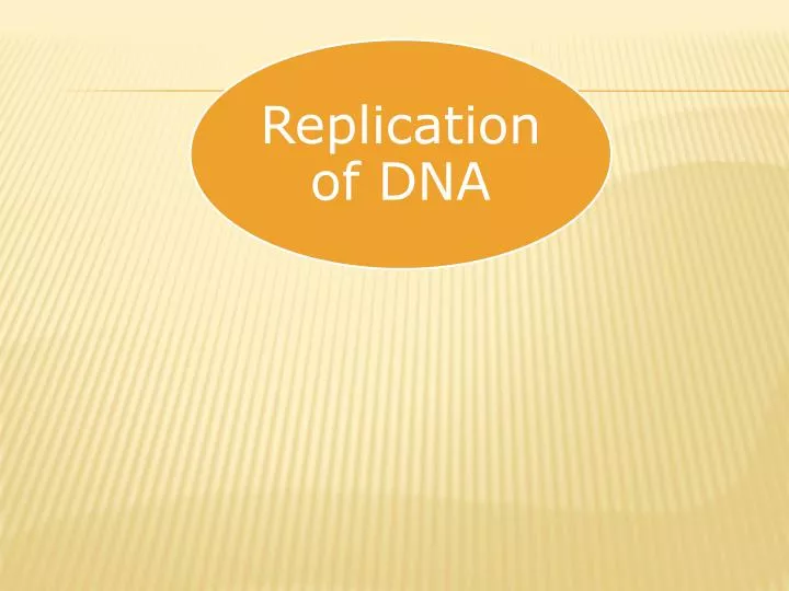 PPT - The process of making a copy of DNA is called DNA REPLICATION ...