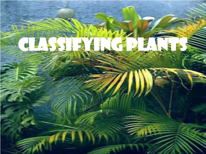 PPT - Classifying Plants PowerPoint Presentation, free download - ID ...