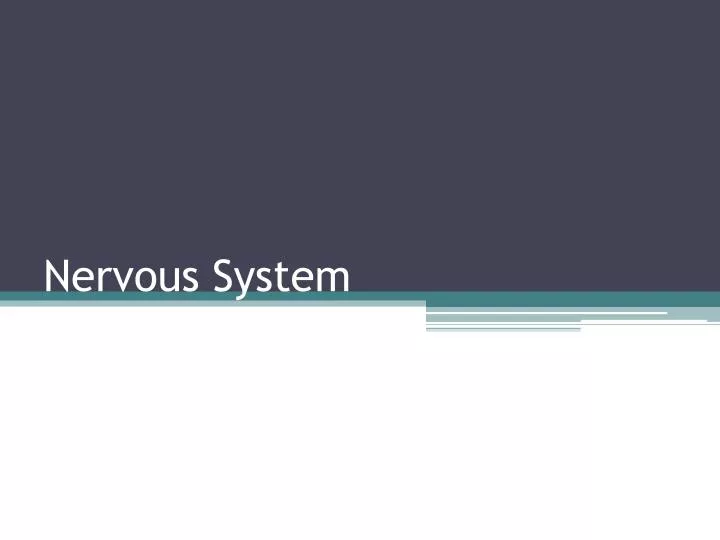 PPT - Nervous System PowerPoint Presentation, free download - ID:5561609