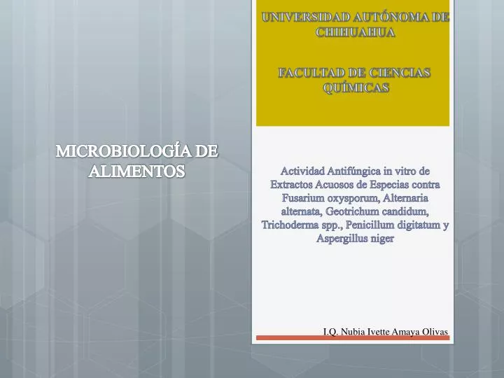 PPT - MICROBIOLOGÍA DE ALIMENTOS PowerPoint Presentation, free download ...